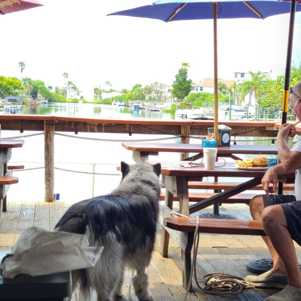 Tropical Grille Hernando Beach, FL Tiki Hut Waterfront Dining - Hernado ...